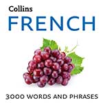 Collins Dictionary | Definition, Thesaurus and Translations